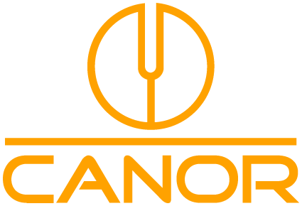 Canor AI 2.10 Integrated Hybrid Amplifier